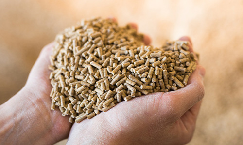 Feed & food ingredients | Lantmännen Biorefineries